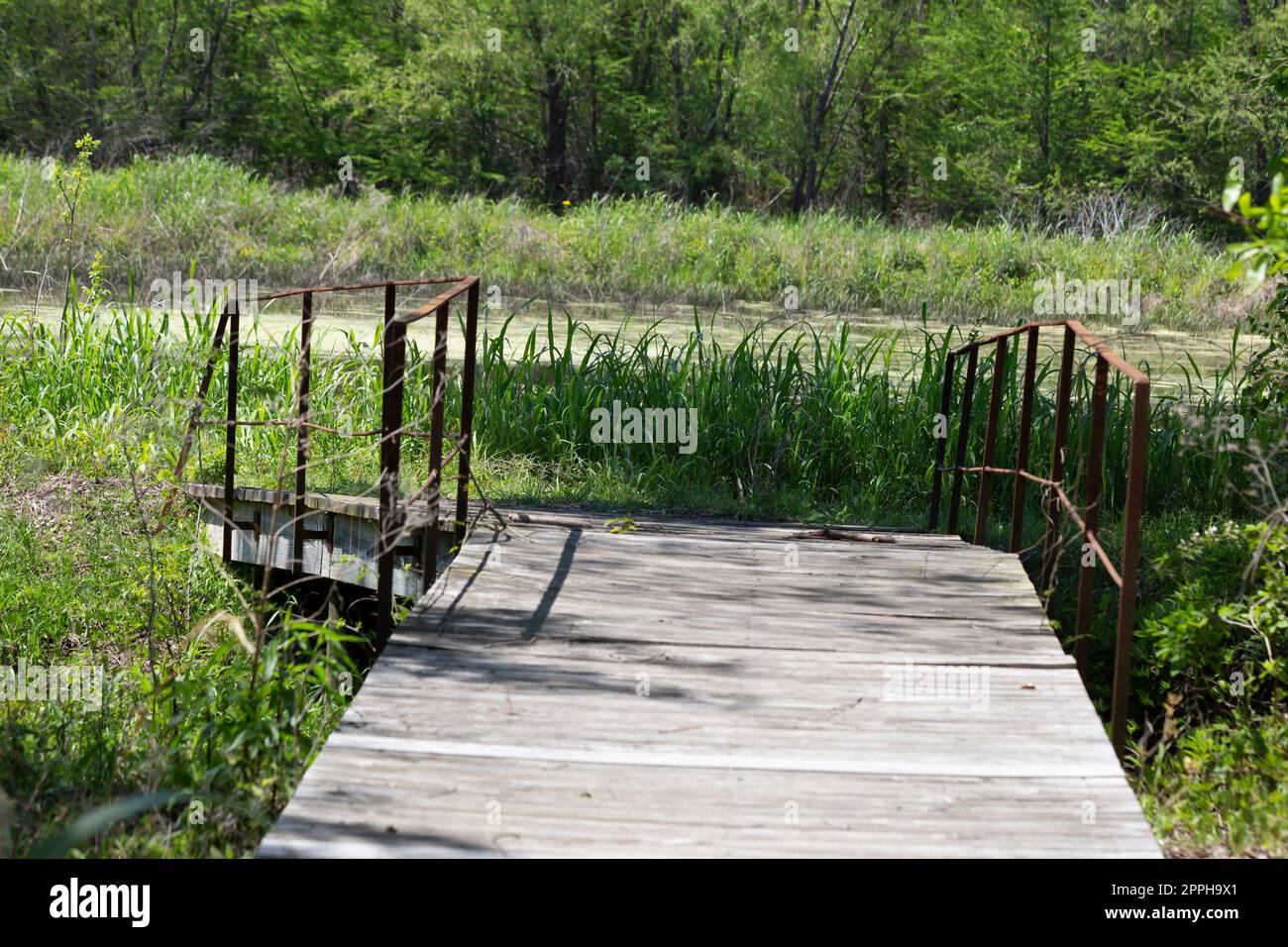 Black Bayou Lake Walkway Stock Photo - Alamy