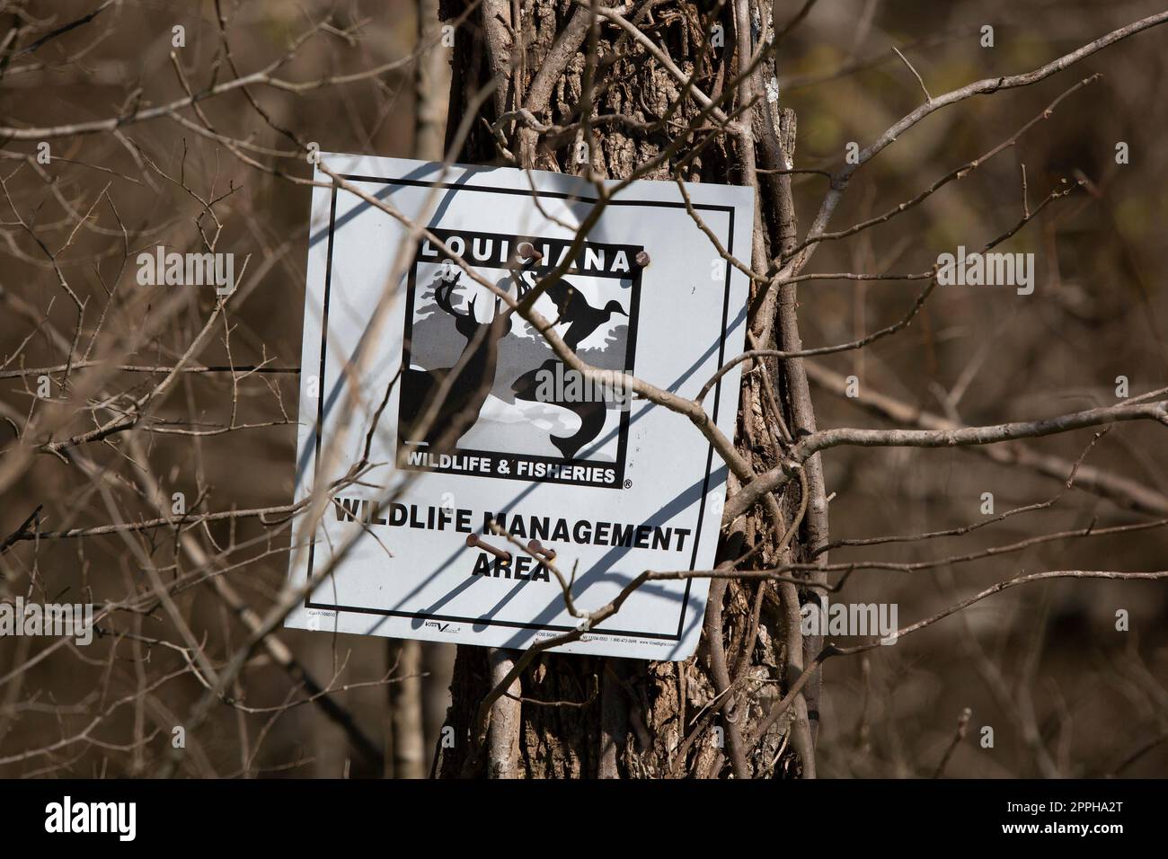 Wildlife Management Area Sign Florida Memory • Sign At The Wildlife