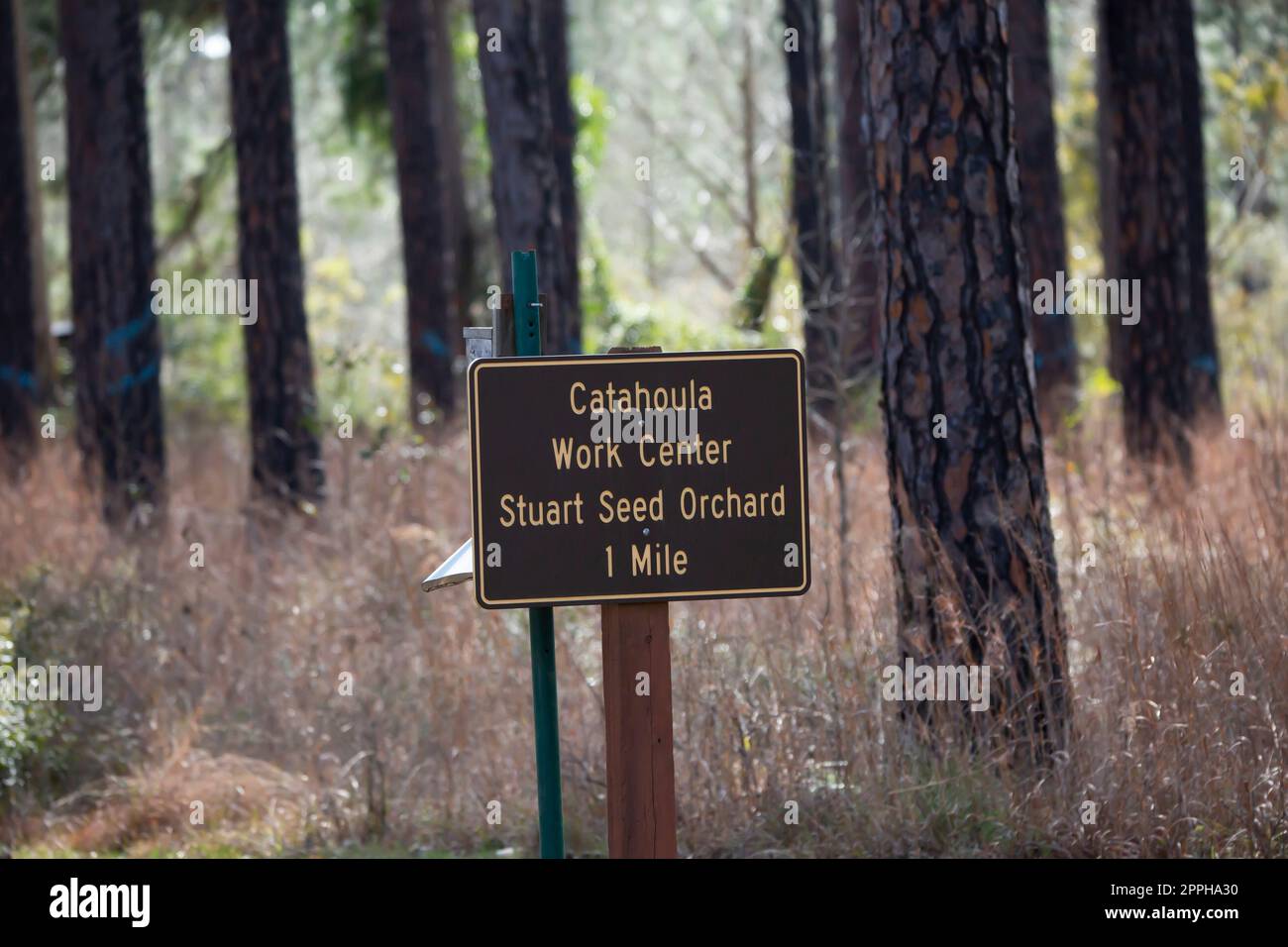 Catahoula Work Center and Stuart Seed Orchard Sign Stock Photo - Alamy