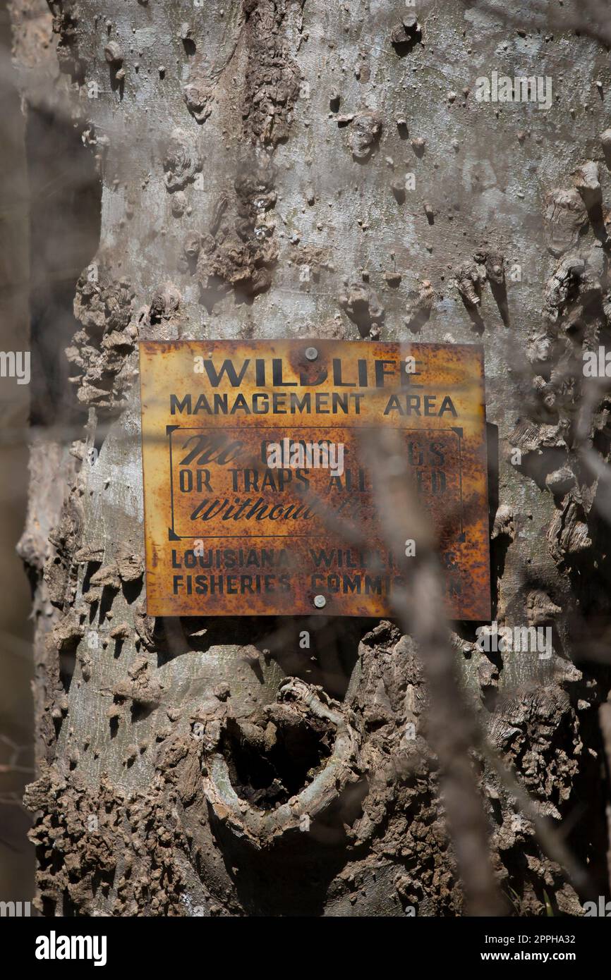 No Guns or Traps Allowed without a Permit Stock Photo - Alamy