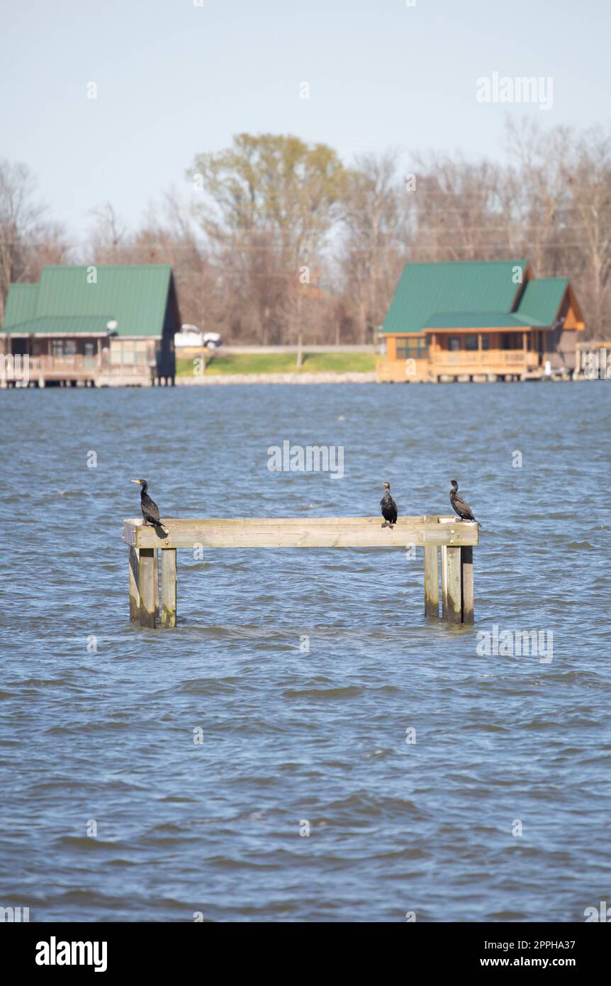 Poverty Point Reservior Cabins Stock Photo - Alamy