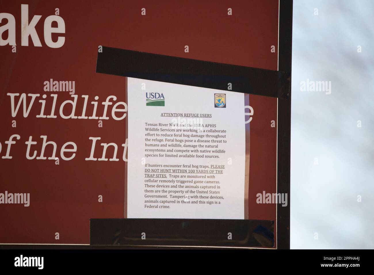 Warning about Hog Trapping Stock Photo - Alamy