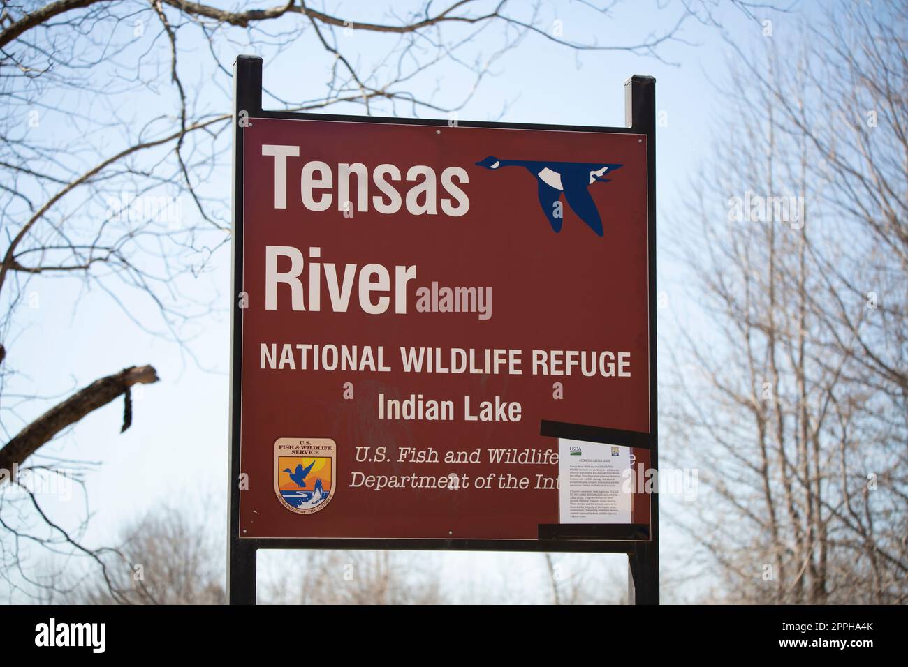 Indian Lake at the Tensas River National Wildlife Refuge Stock Photo ...