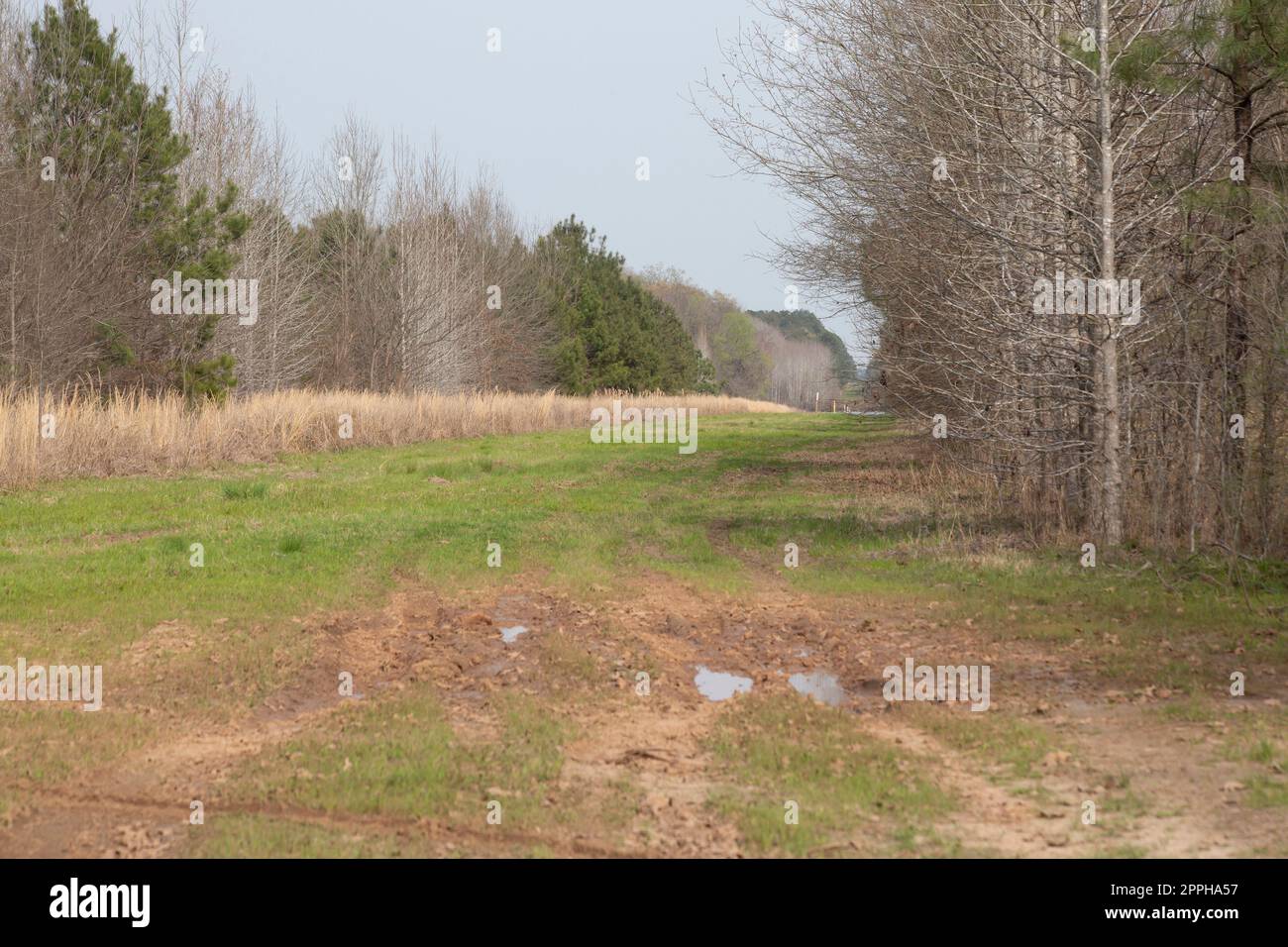 Muddy Pipeline Clearing Stock Photo - Alamy
