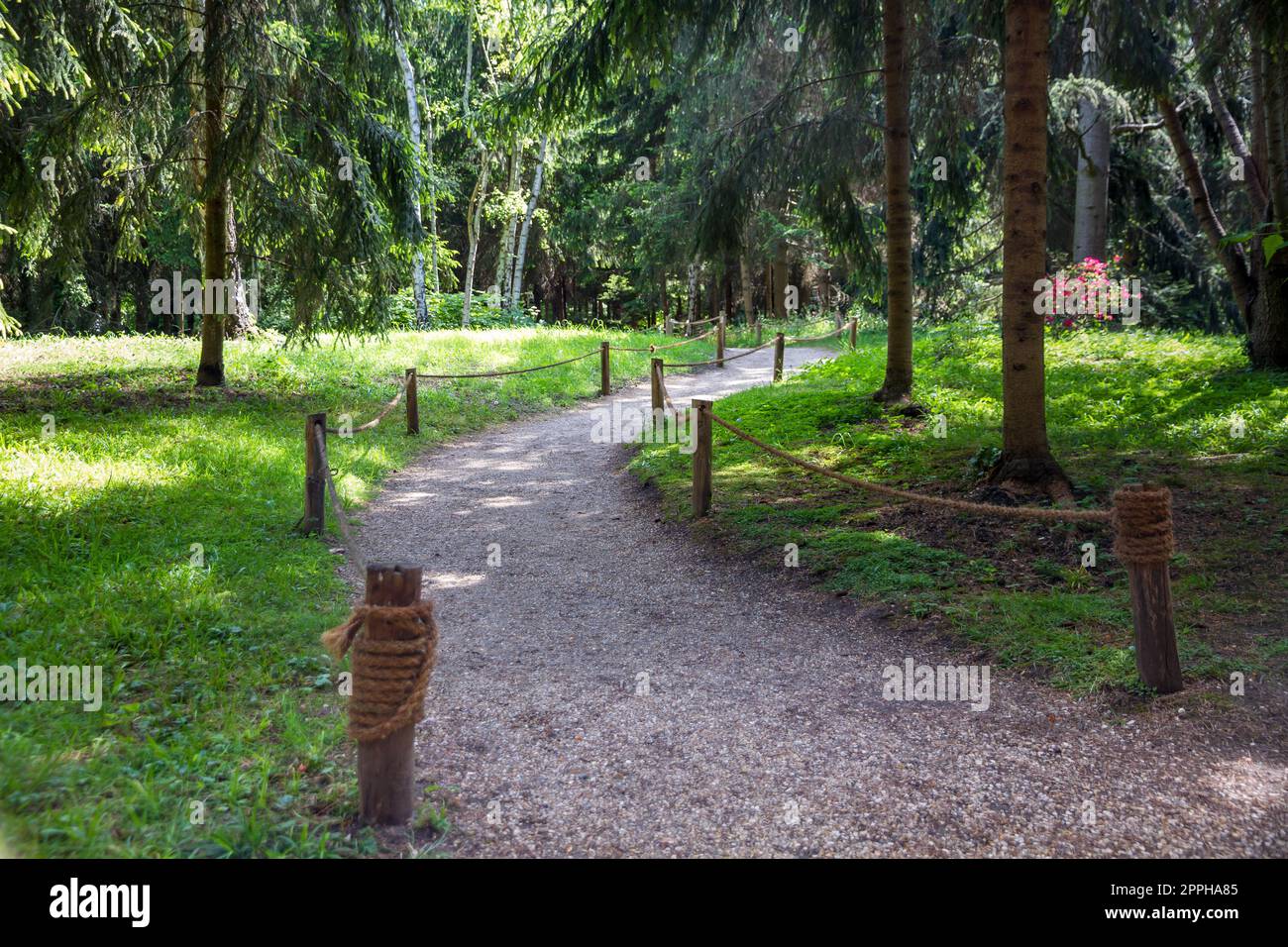 Small forest path hi-res stock photography and images - Alamy