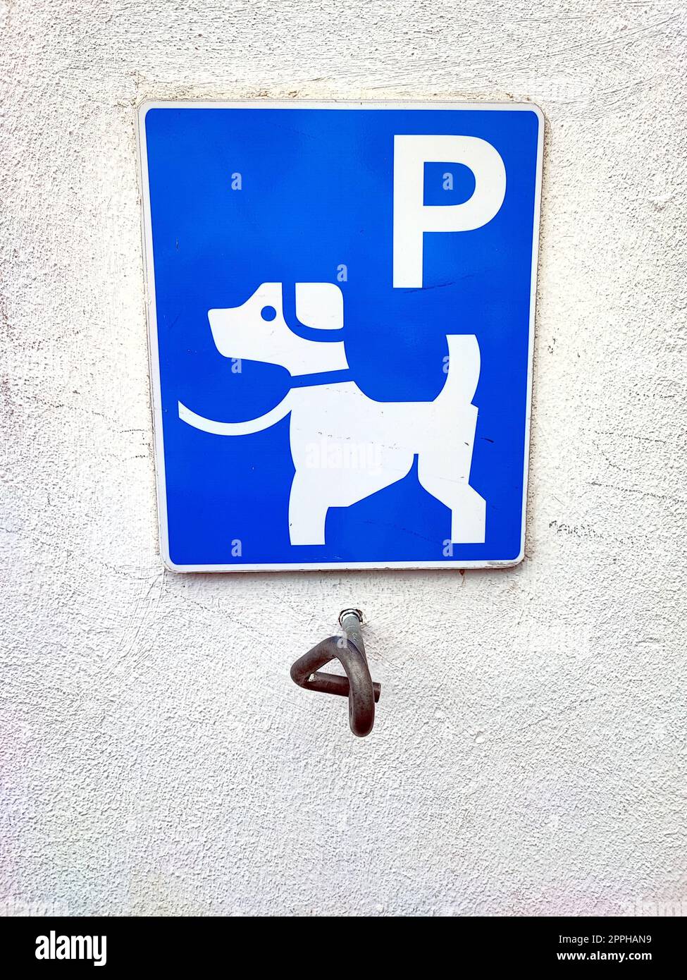 Dogs road hi-res stock photography and images - Alamy