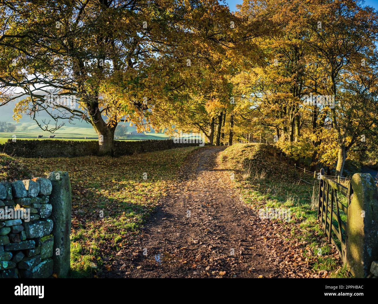 Whitewell lancashire hi-res stock photography and images - Alamy