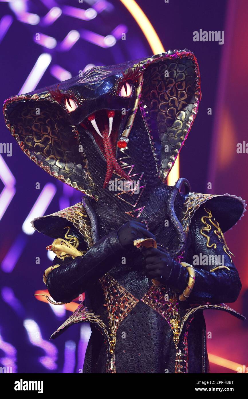 Black mamba hi-res stock photography and images - Alamy