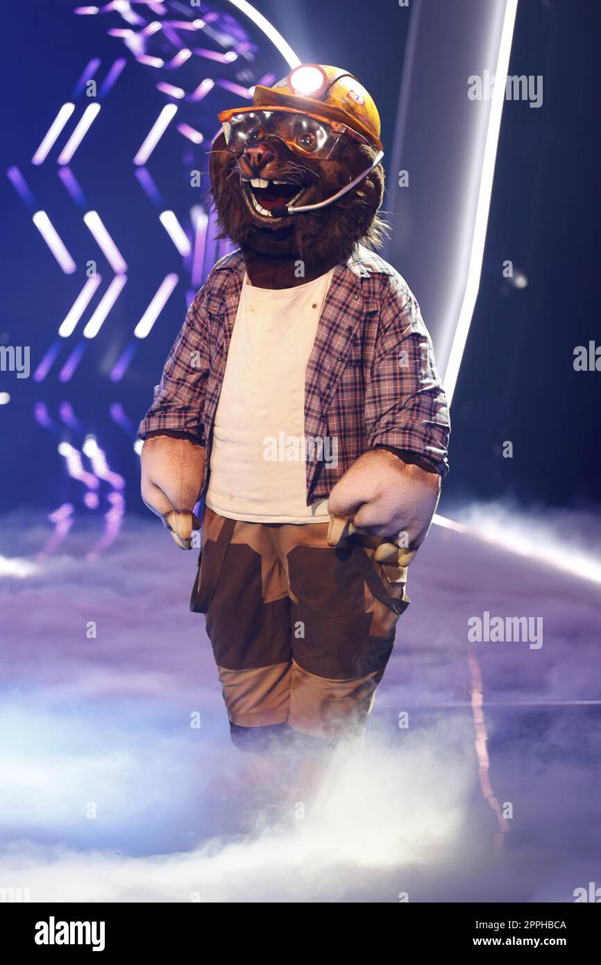 The Mole,The Masked Singer Season 7 Episode 3,MMC Studios,Cologne,15.10 ...