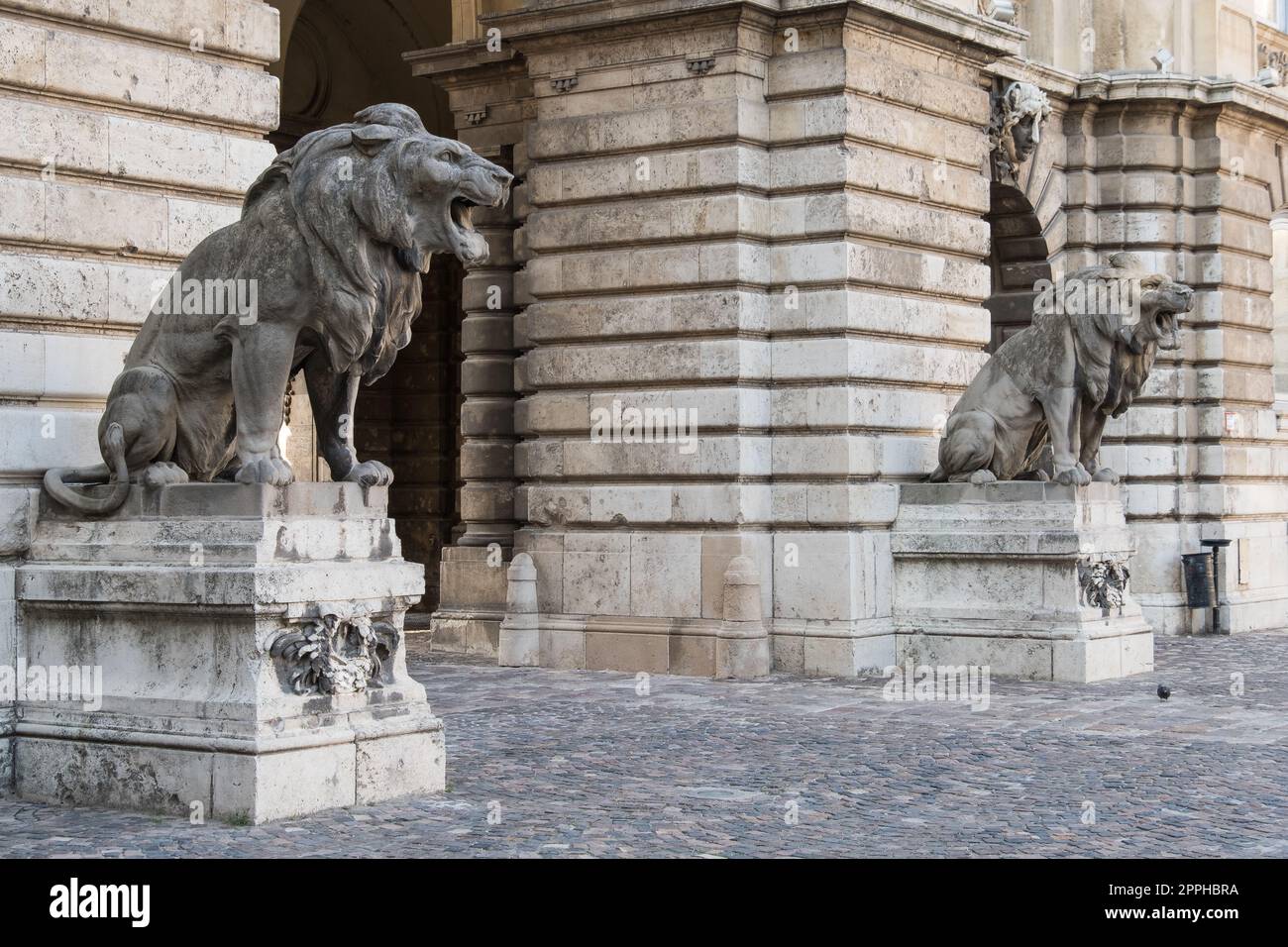 The lion gate at buda castle hi-res stock photography and images - Alamy