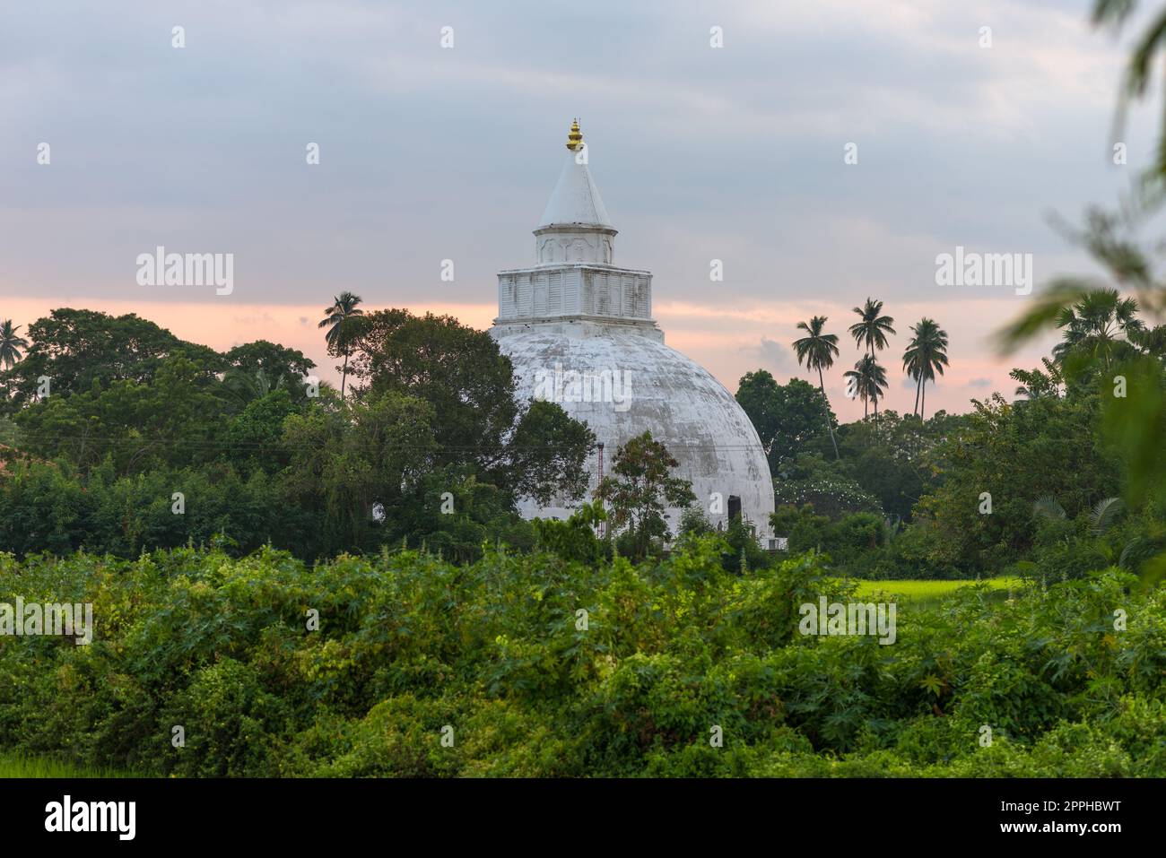 The Yatala Wehera Stupa in Tissamaharama in Sri Lanka Stock Photo - Alamy