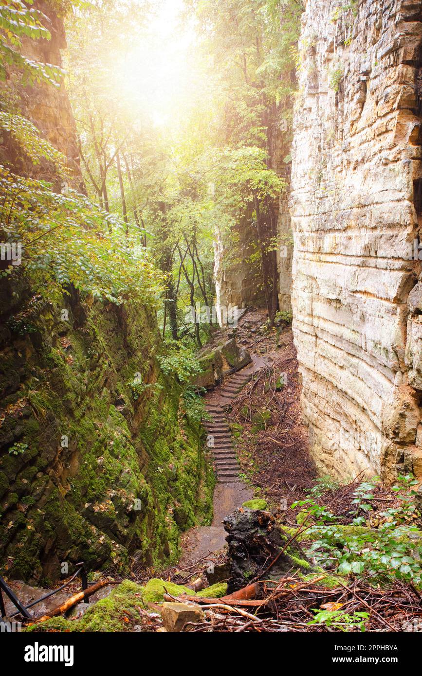 Mullerthal trail in Luxembourg between Echternach and Berdorf, hiking ...