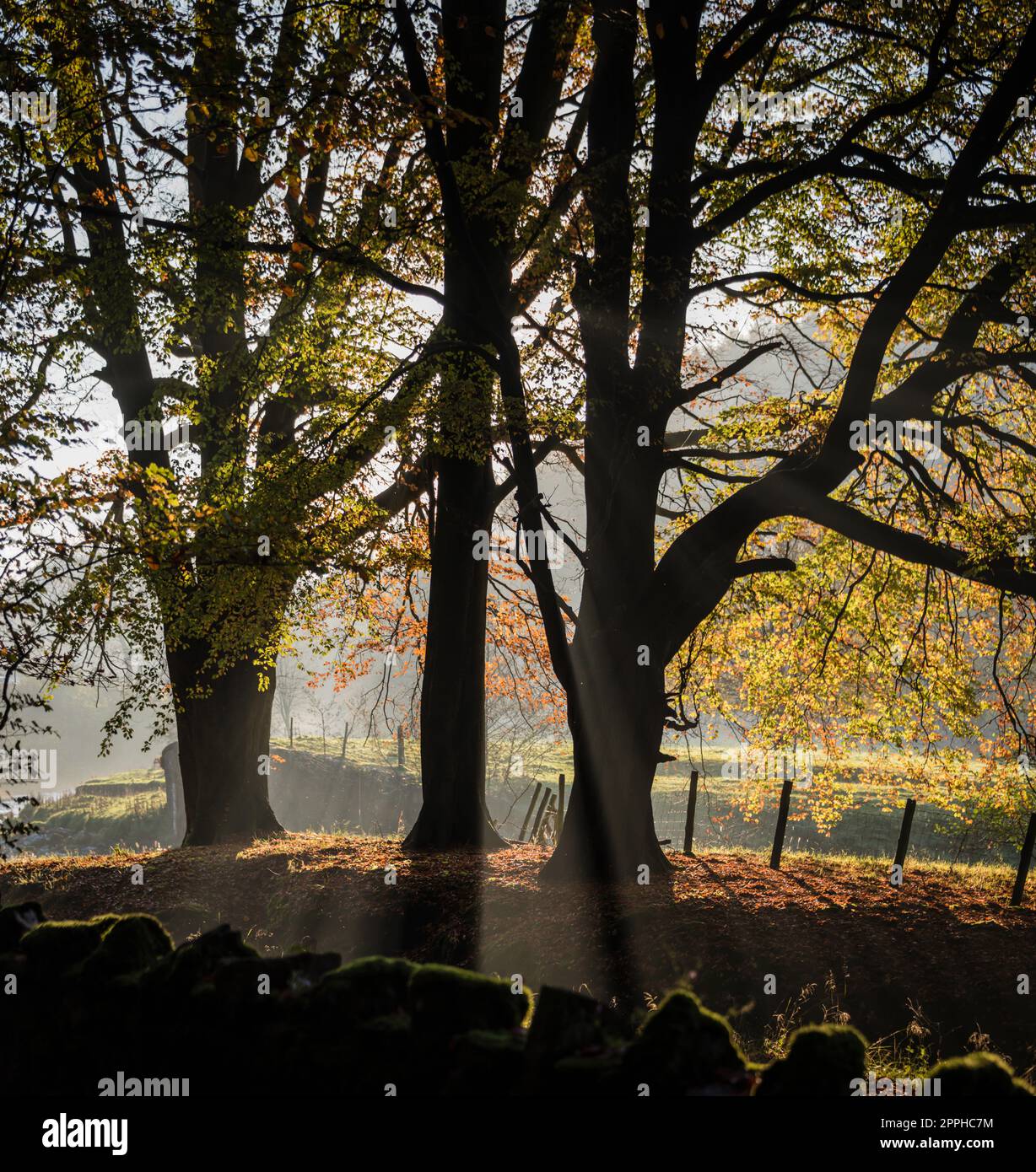 Autumnal colour in the Hodder Valley at Whitewell, Lancashire, UK Stock ...