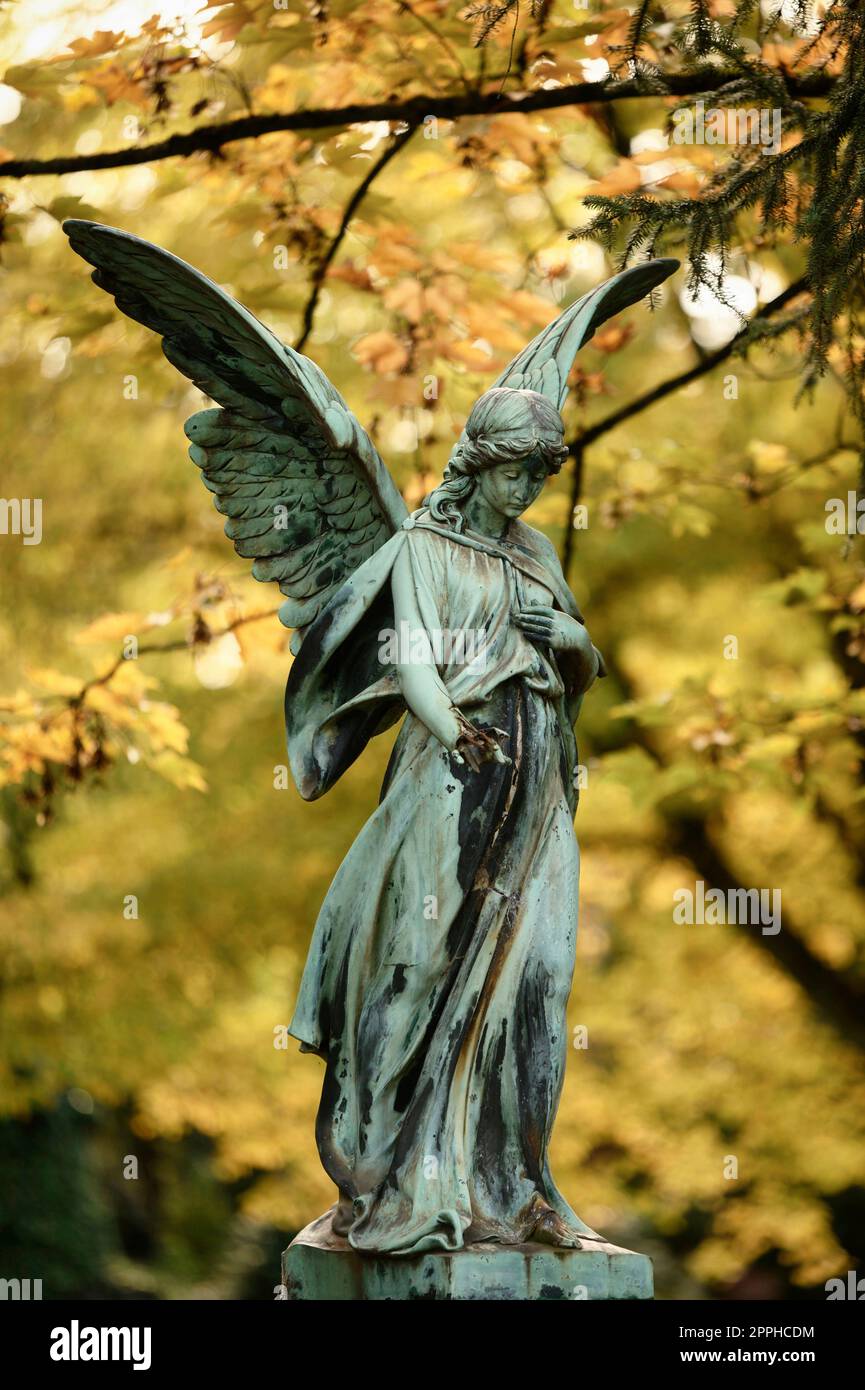 Beautiful figure angel in hi-res stock photography and images - Alamy