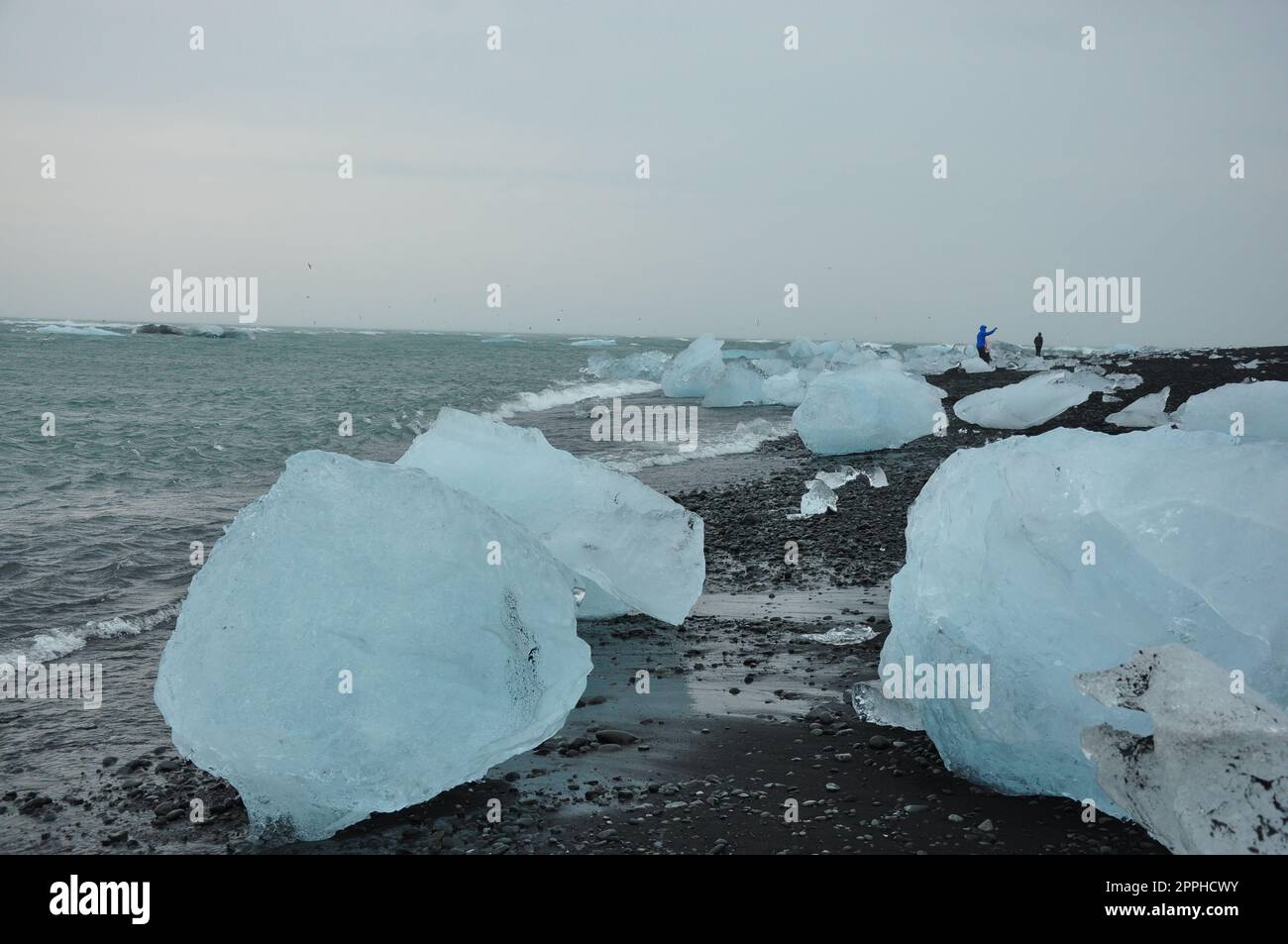 Crystal clear ice chunks on the black sand of Diamond beach in ...