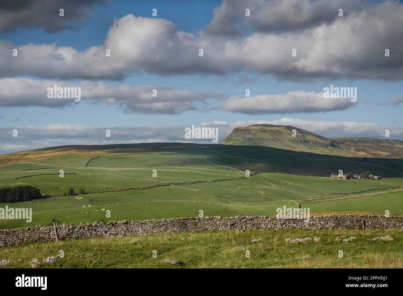 Penyghent as seen from the fells above the village of Langcliffe ...