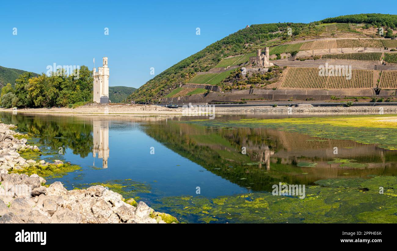 Europe drought 2022 rhine hi-res stock photography and images - Alamy