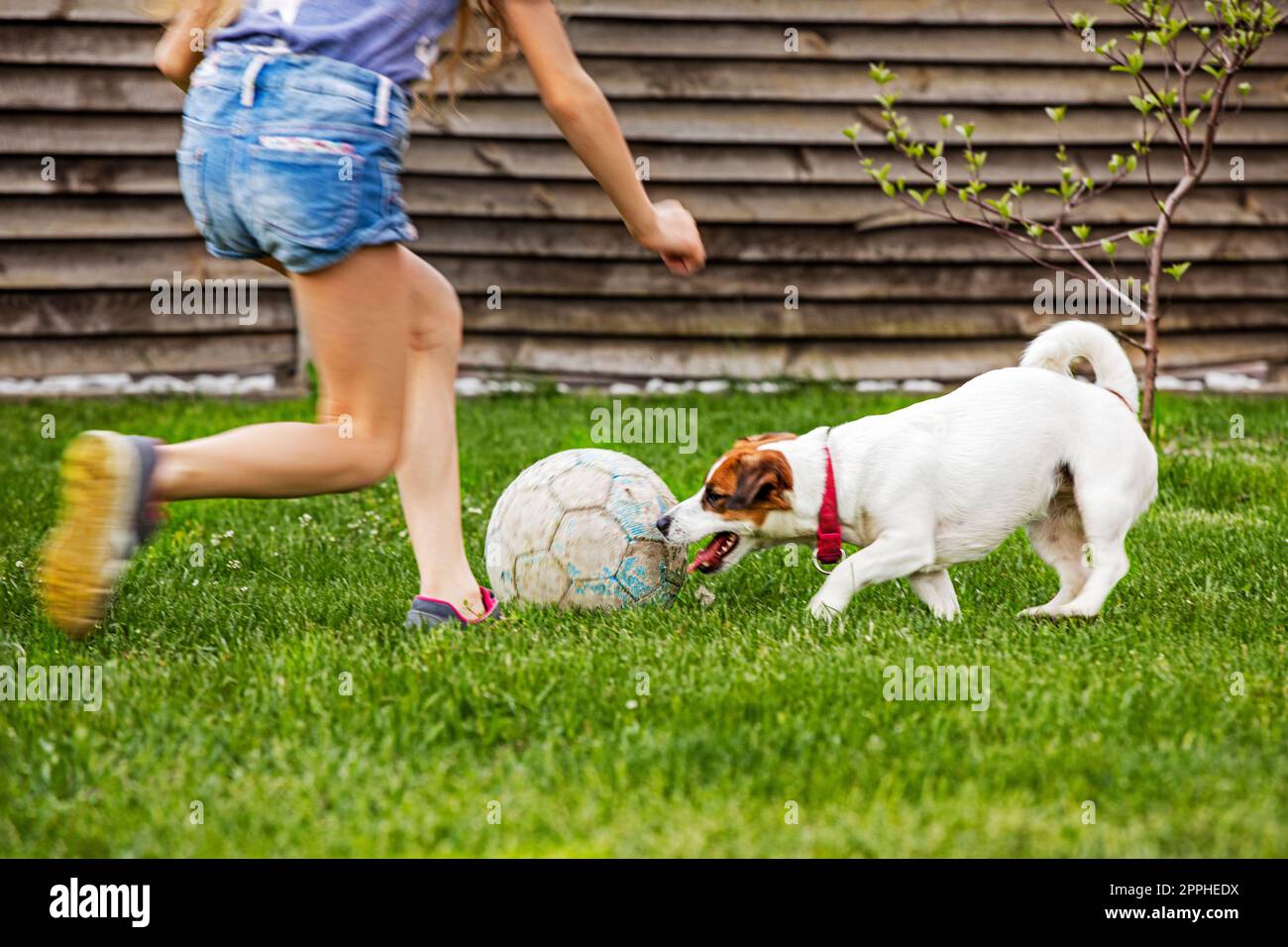 Outgoing family hi-res stock photography and images - Alamy