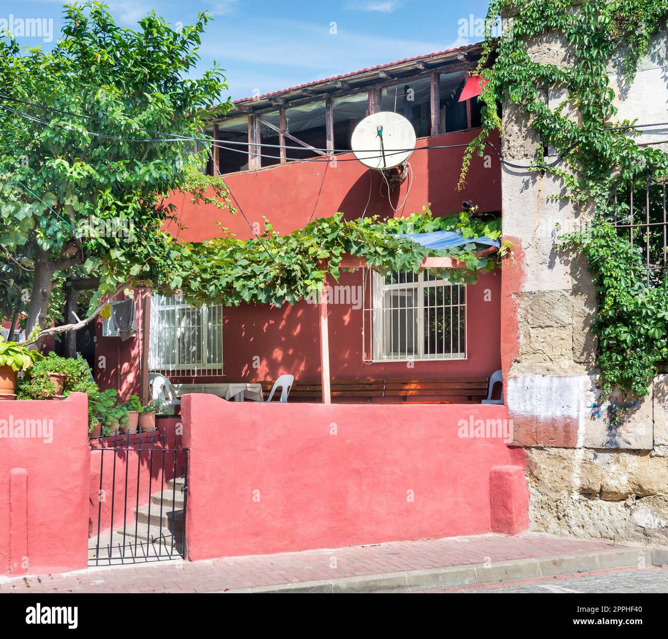 Hosue plants window hi-res stock photography and images - Alamy