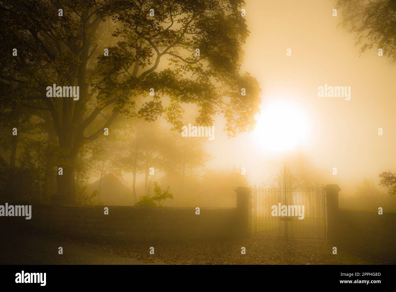 Downham Hall gates on an atmospheric morning in the Ribble Valley ...