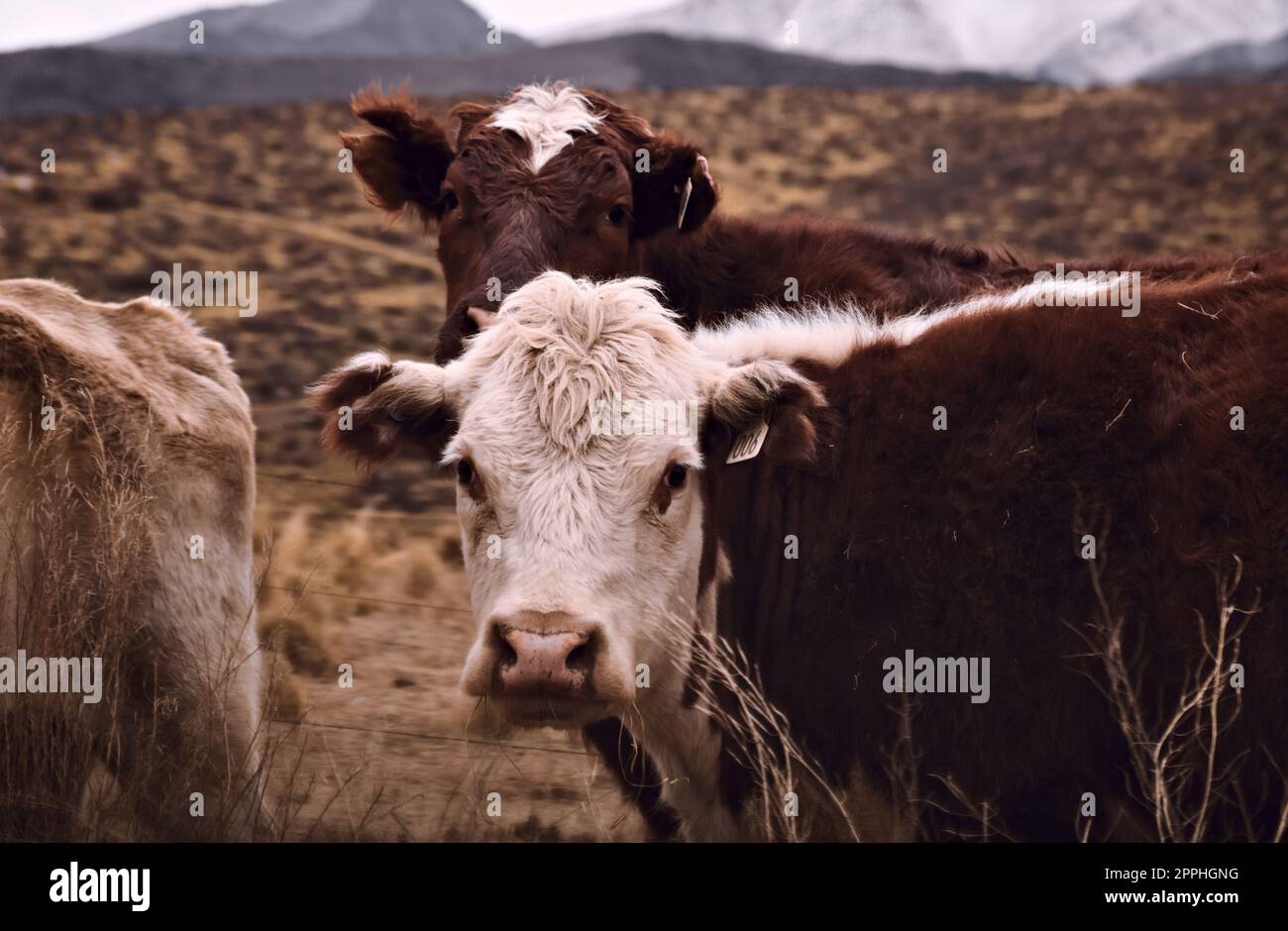Looking at the cloudy day hi-res stock photography and images - Alamy