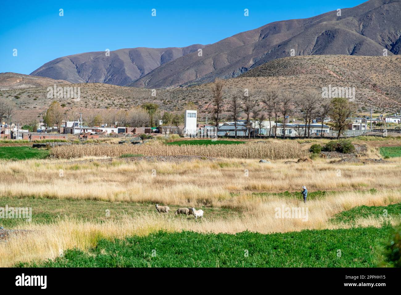 The mountain village of La Poma in the Argentine Andes Stock Photo - Alamy