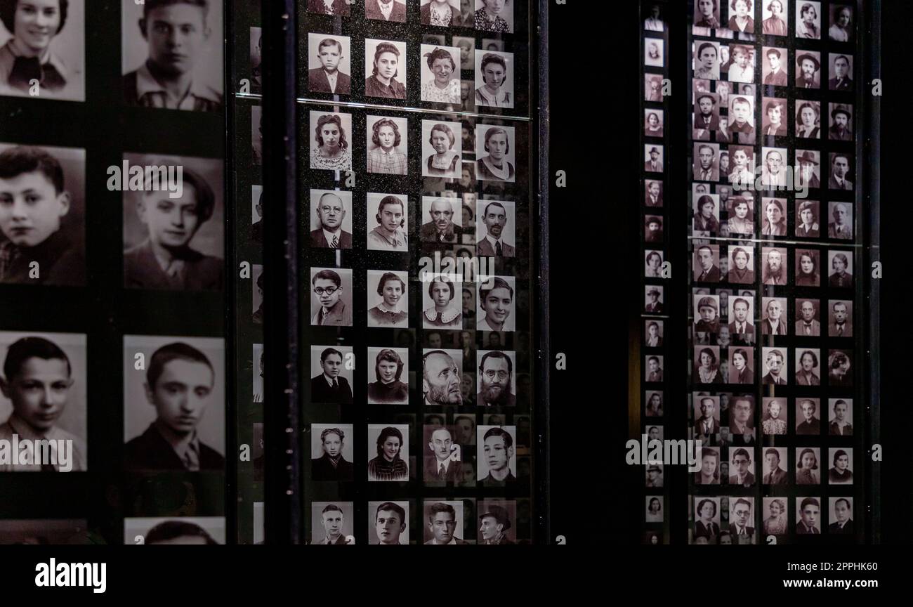 Polish Victims Portraits in the Museum of the Second World War Stock ...