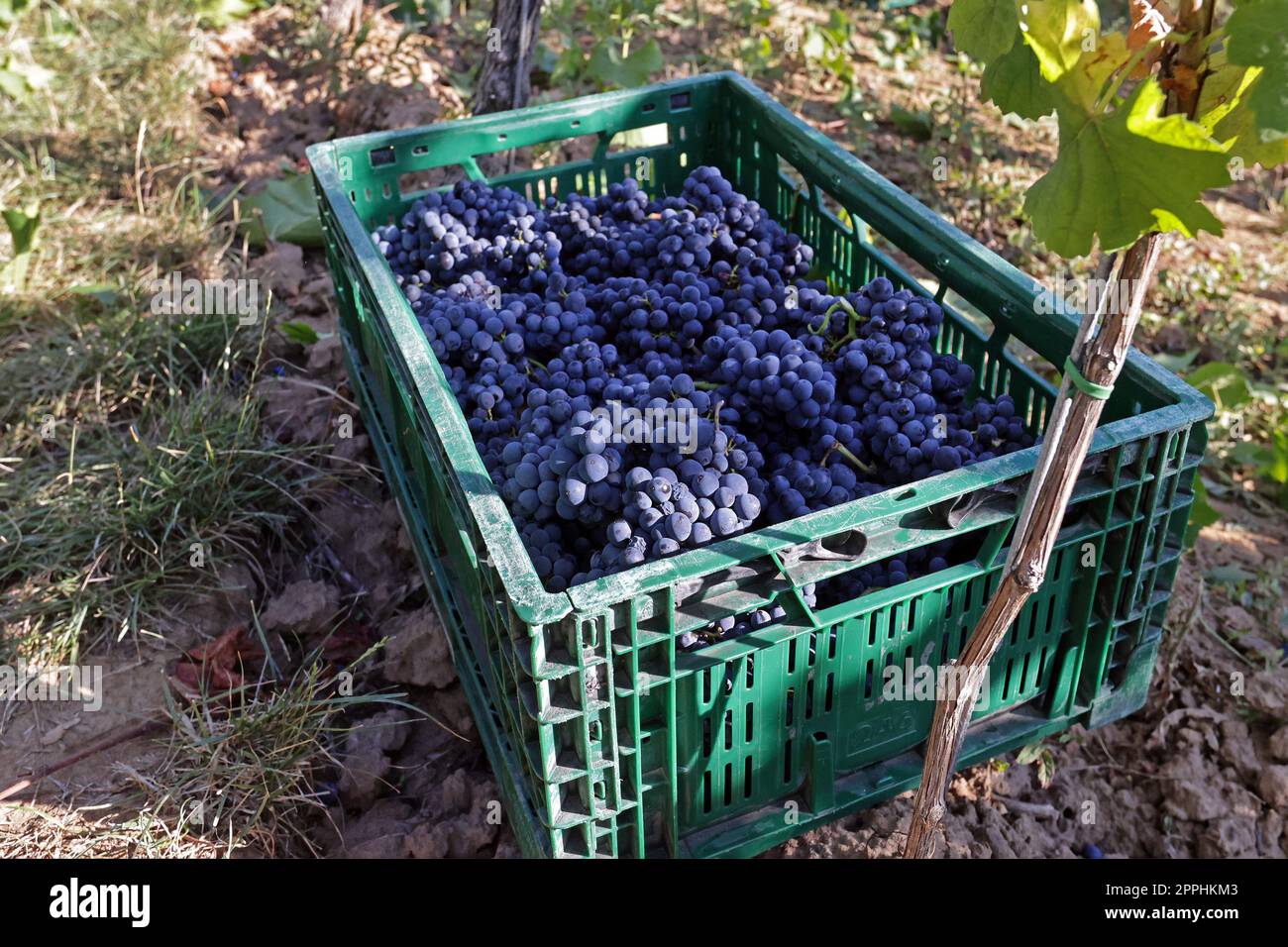 Harvest boxes hi-res stock photography and images - Alamy