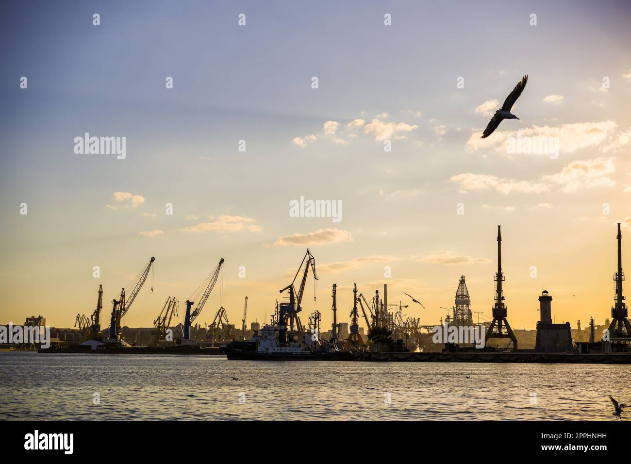 Container terminal, with cranes, in a commercial port Stock Photo - Alamy