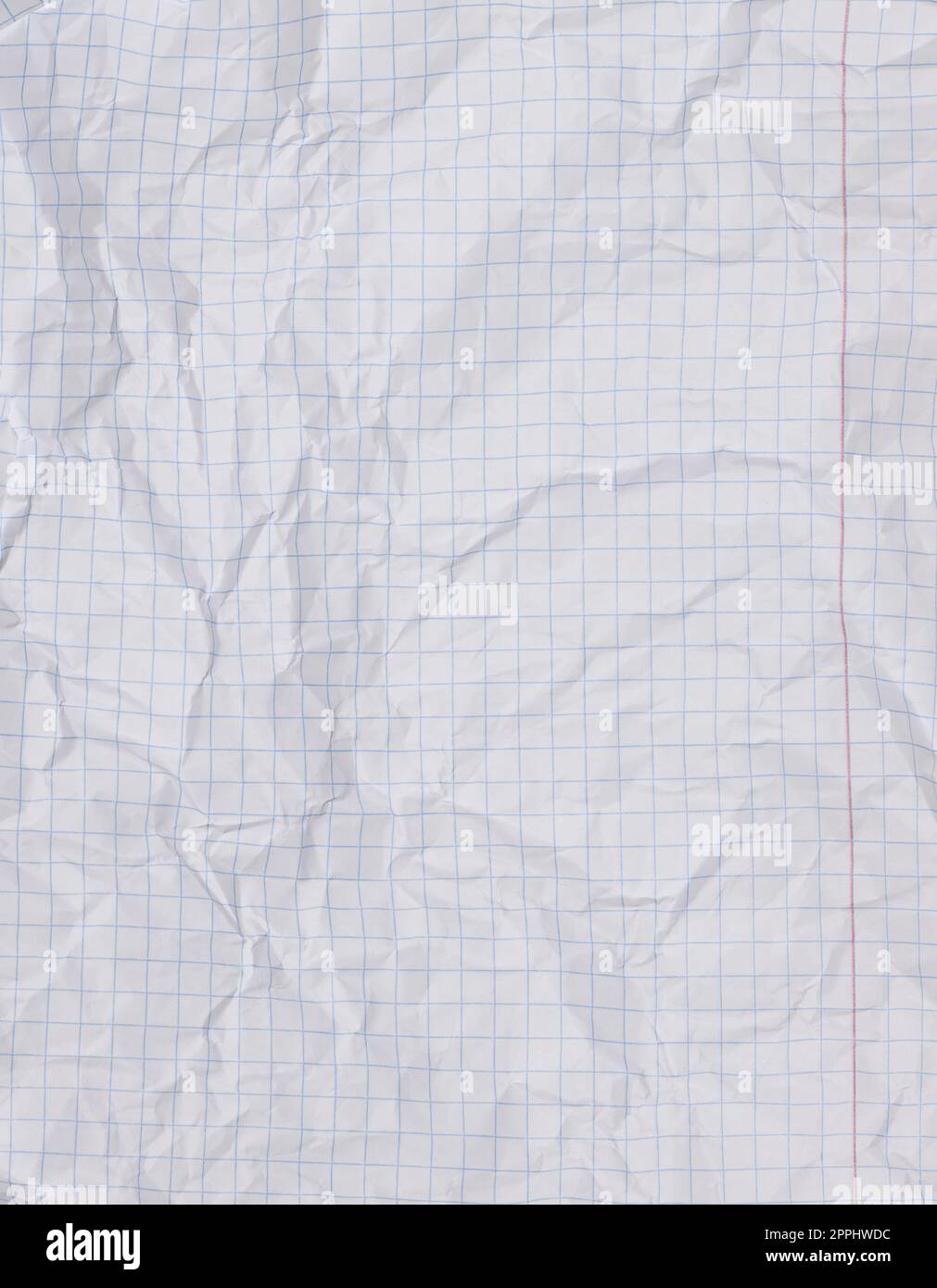 Crumpled sheet from a school notebook in a cage, a place for an ...
