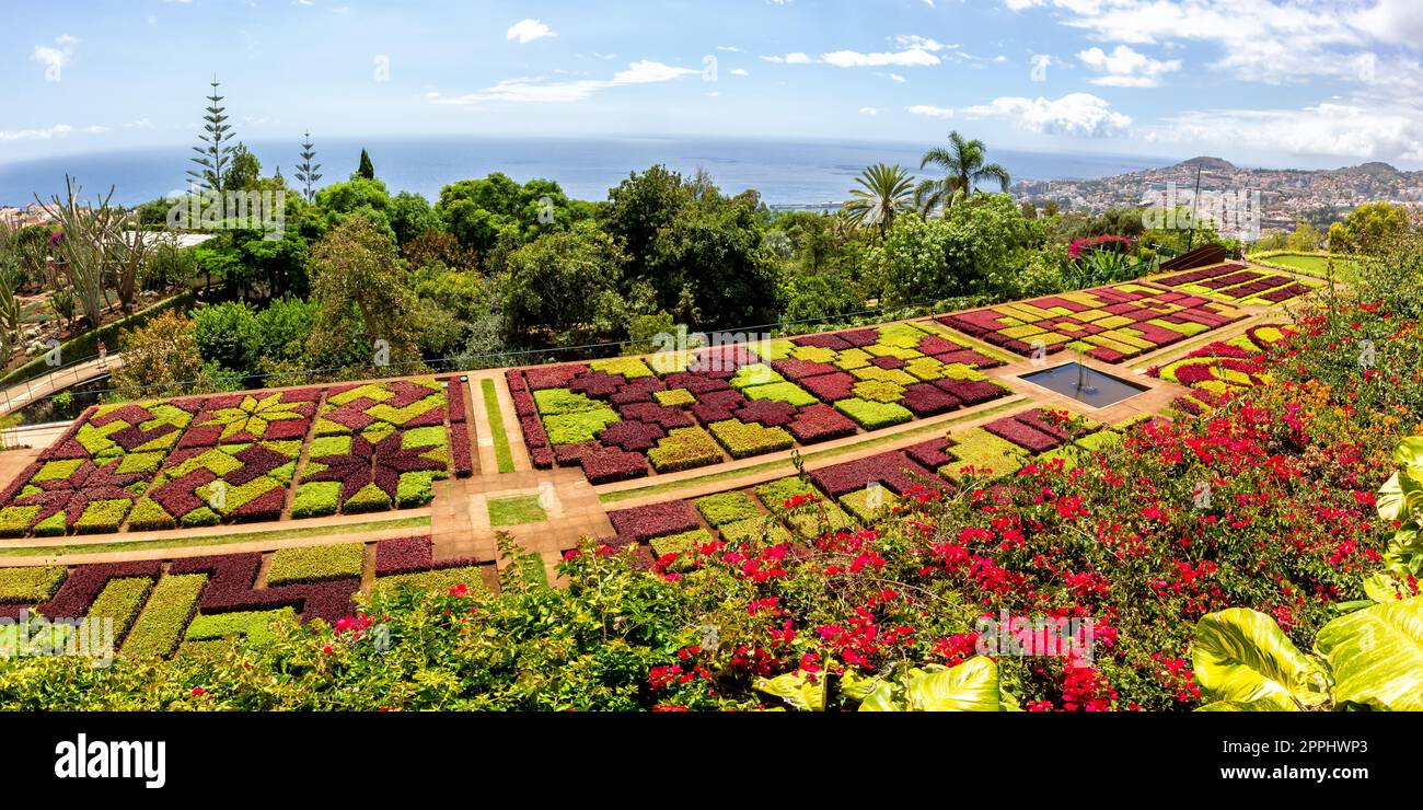 Flowers and plants in botanical garden of Funchal panorama on Madeira ...