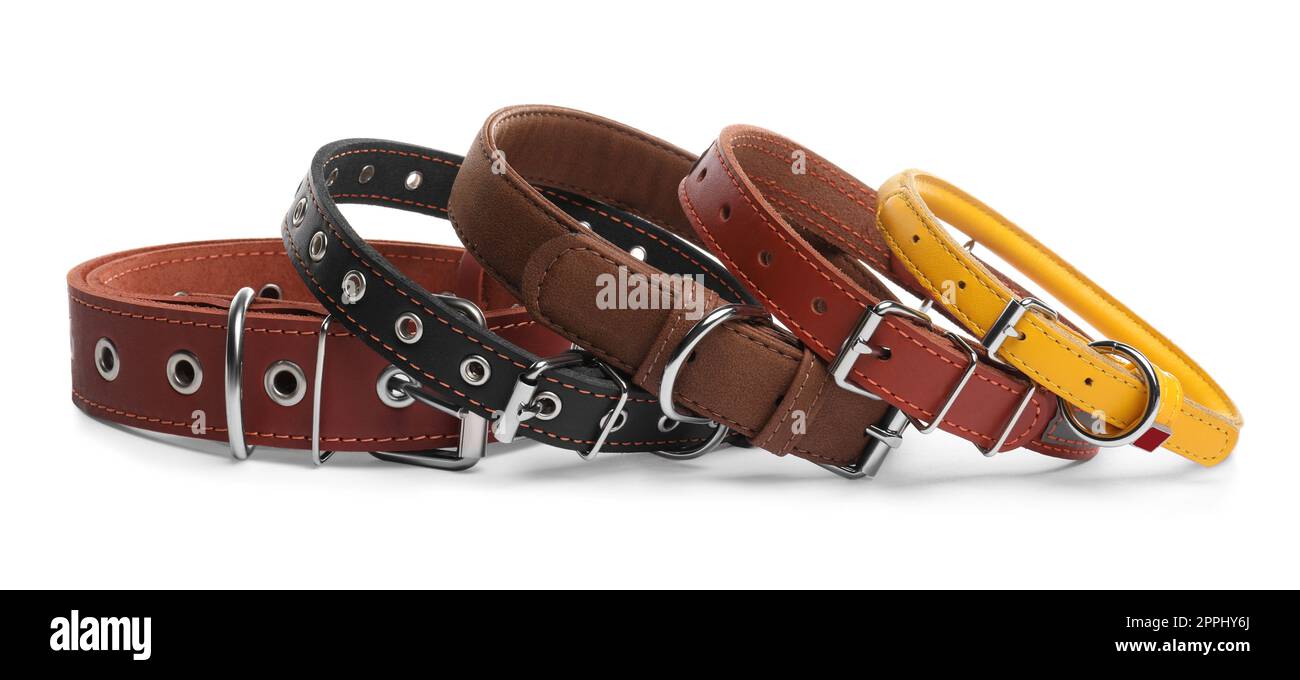 Different leather dog collars on white background Stock Photo - Alamy
