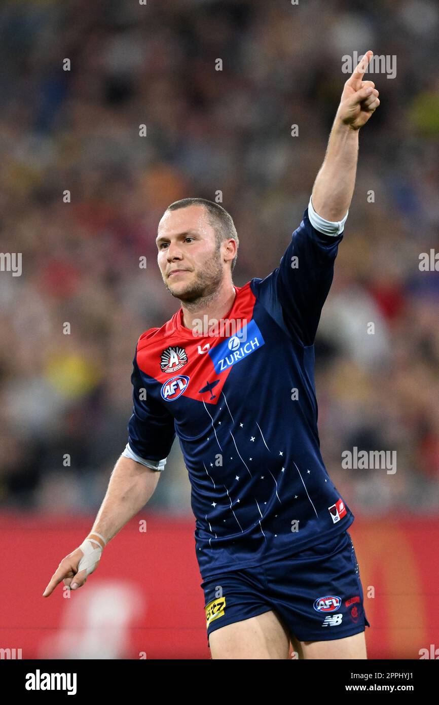 Ed Langdon of the Demons reacts after kicking a goal during the AFL ...