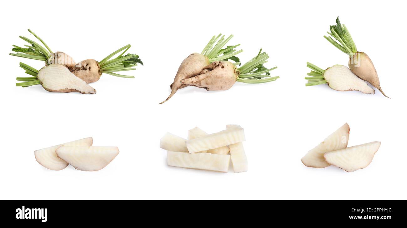 Set with whole and cut sugar beets on white background. Banner design ...