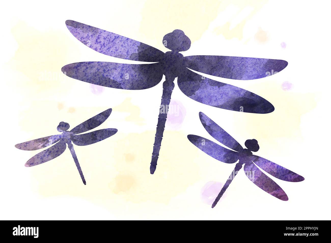 Silhouettes Of Dragonflies Drawn With Watercolor Paint On White