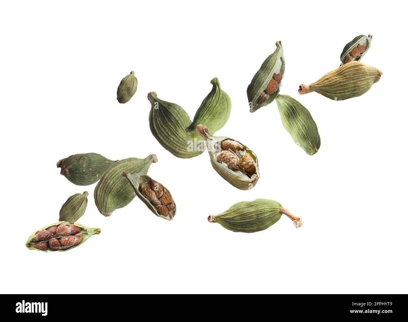 Dry green cardamom pods with seeds falling on white background Stock ...
