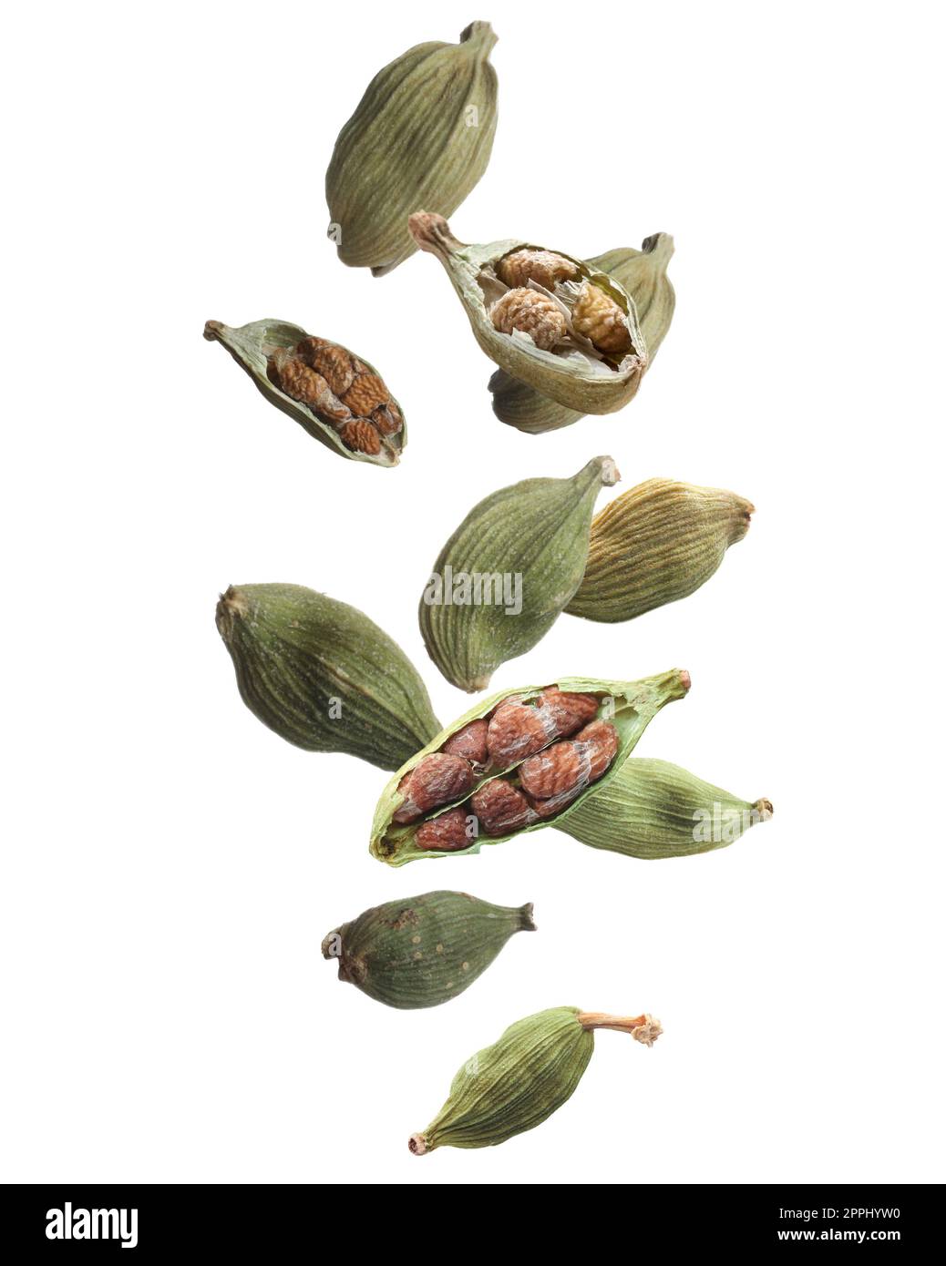 Dry green cardamom pods with seeds falling on white background Stock ...