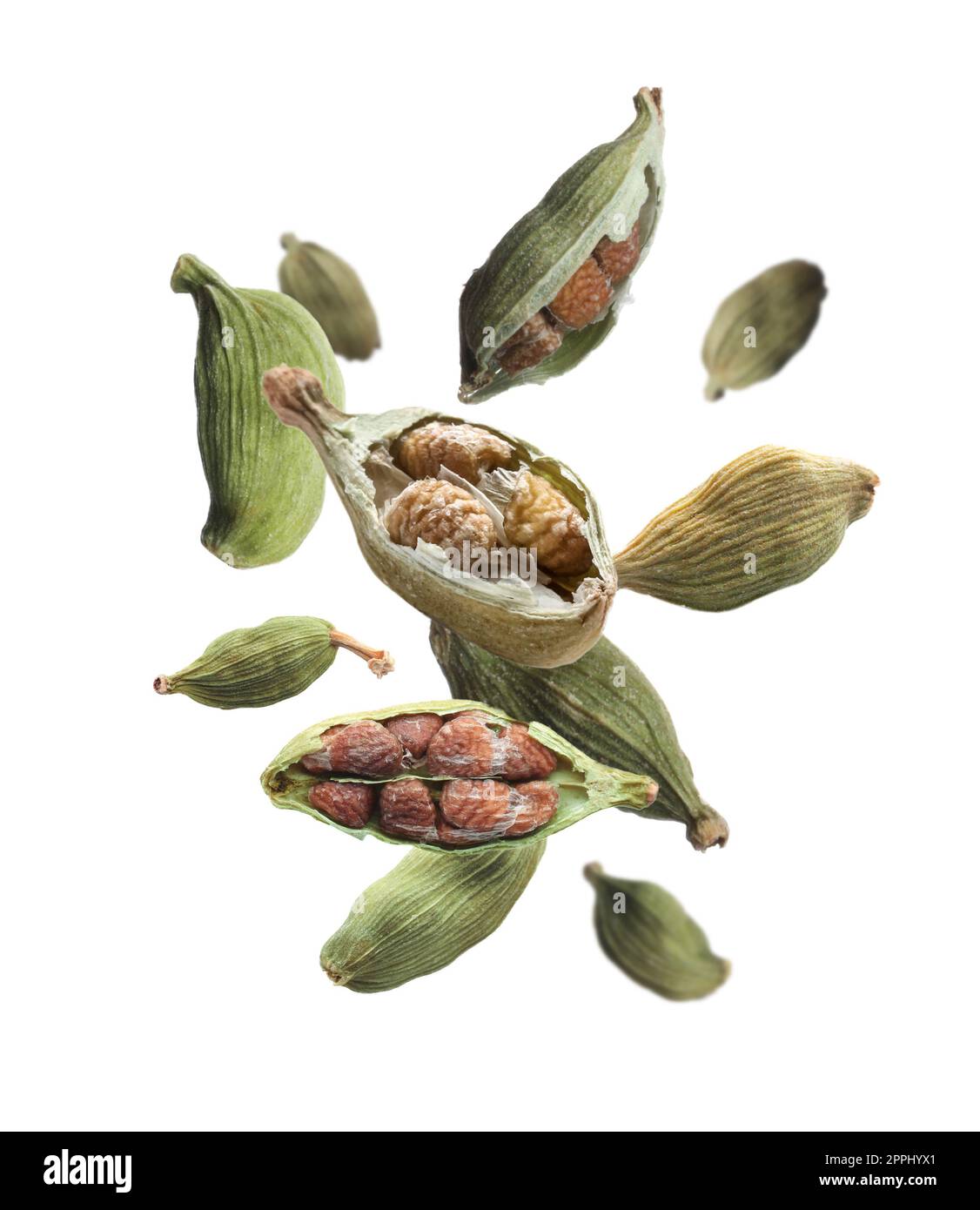 Dry green cardamom pods with seeds falling on white background Stock ...