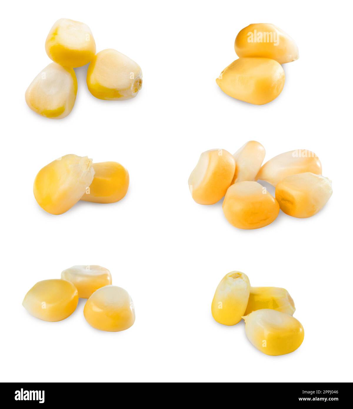 Set with tasty corn kernels on white background Stock Photo - Alamy