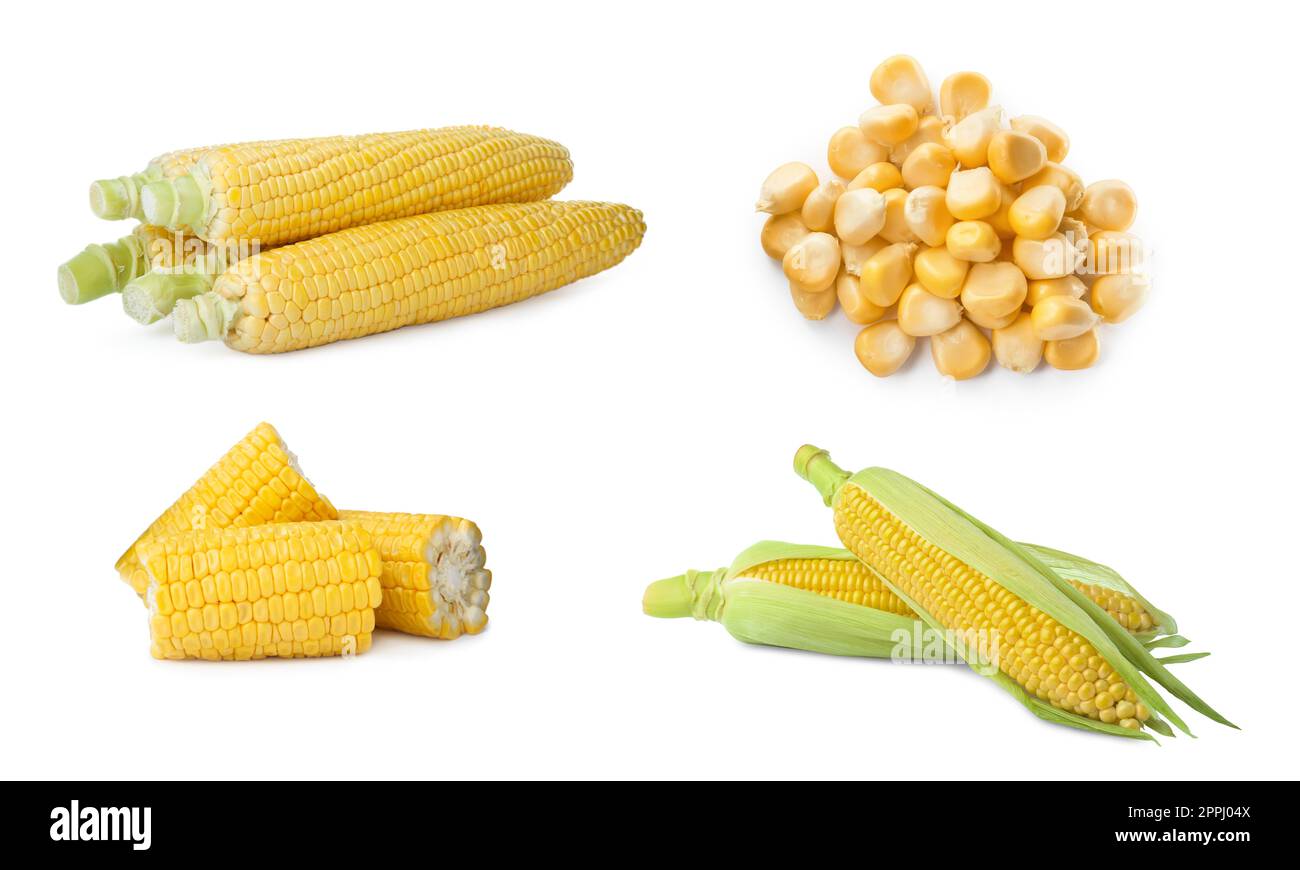 Set with tasty ripe corn cobs and kernels on white background Stock ...