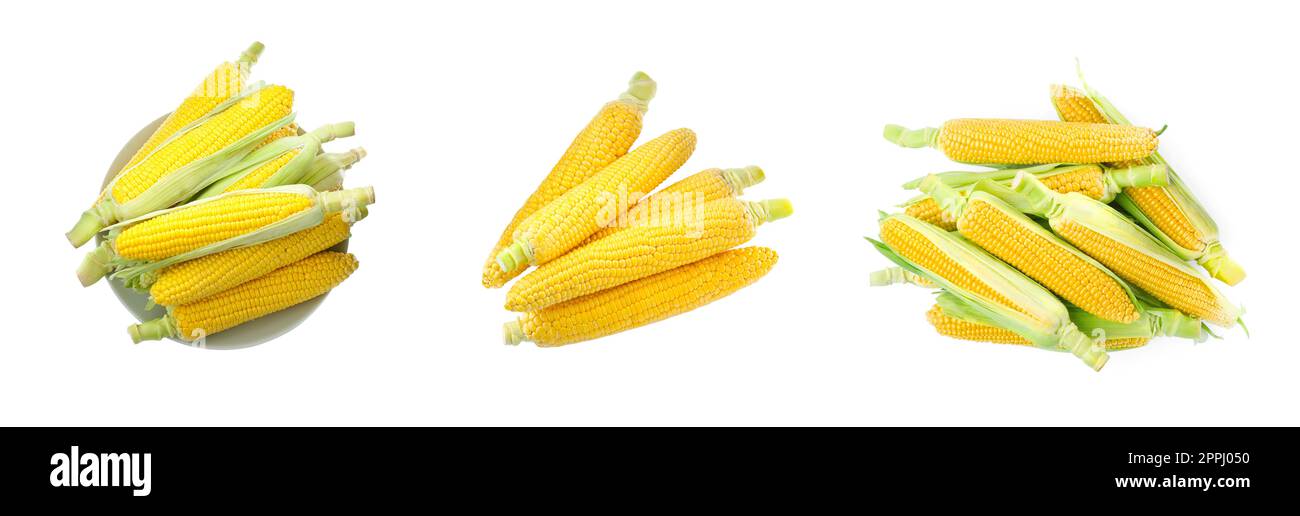 Set with tasty ripe corn cobs on white background, top view. Banner ...
