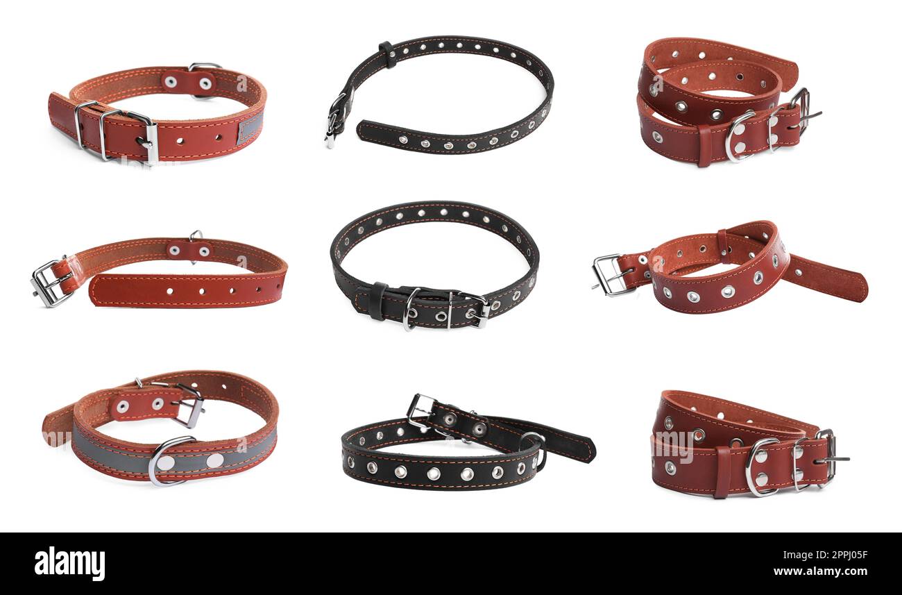 Set with different leather dog collars on white background Stock Photo ...
