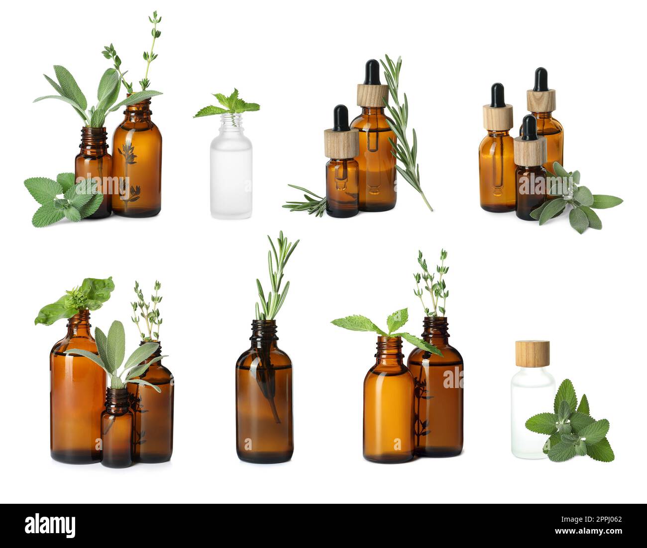 Set with bottles of different essential oils and leaves on white ...