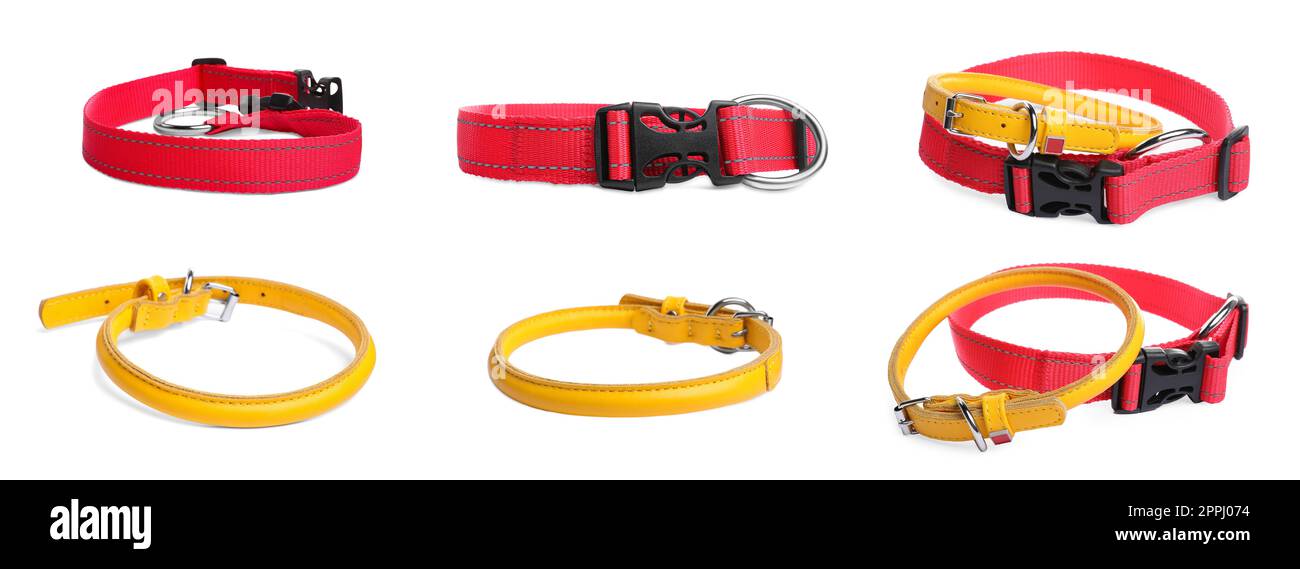 Set with yellow and red leather dog collars on white background. Banner ...