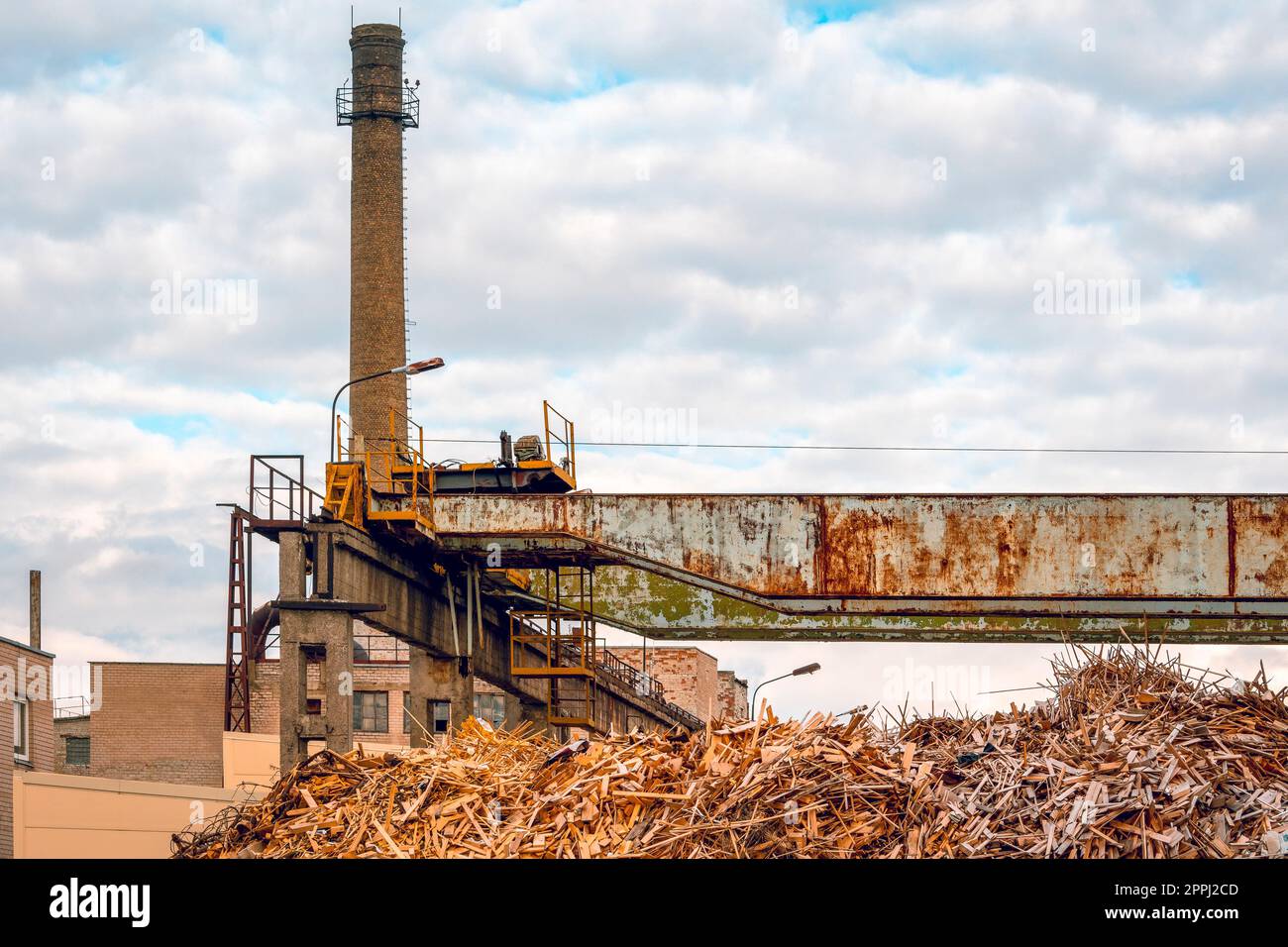 Pile of wood waste for thermal power plant. Ecological heating ...