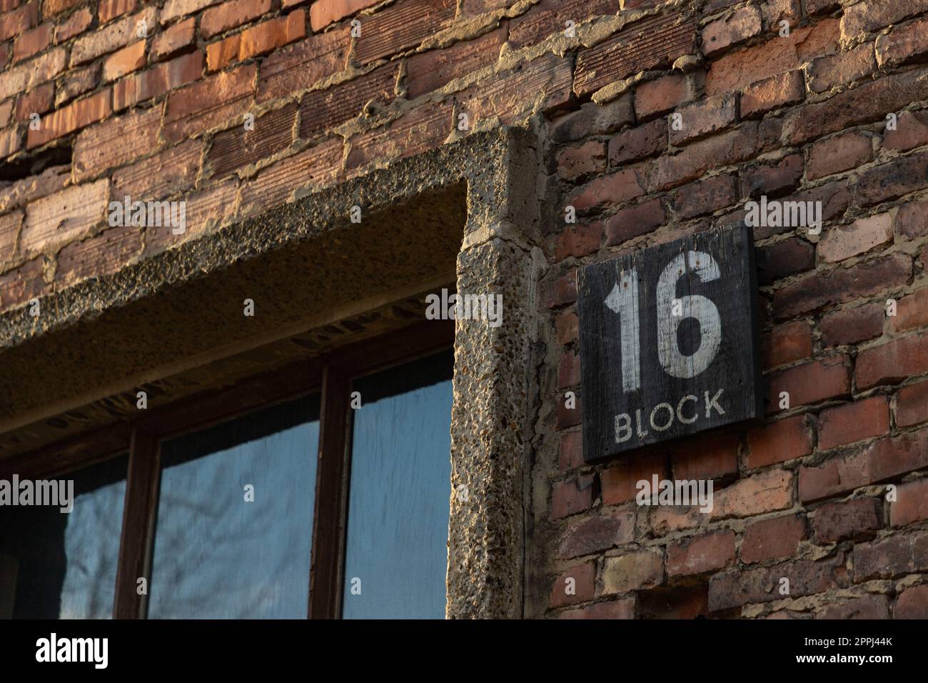 Auschwitz number hi-res stock photography and images - Alamy