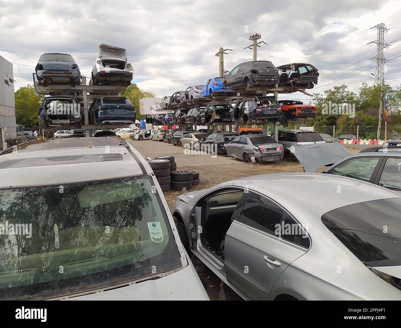 Buzau, Romania - September 12, 2022: Old wrecked cars in junkyard ...