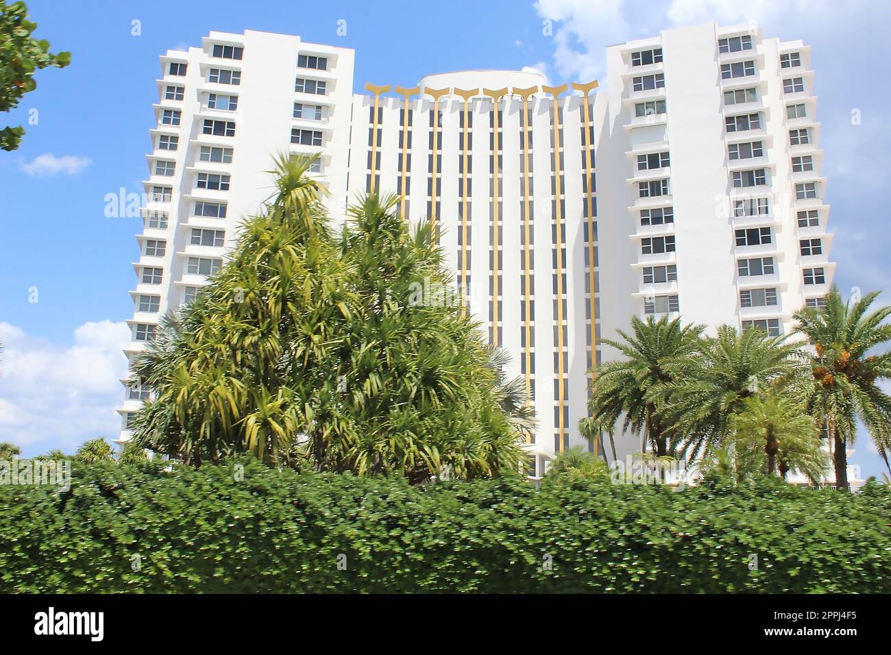 Miami, USA - April 24, 2022: Modern apartment buildings with palm trees ...