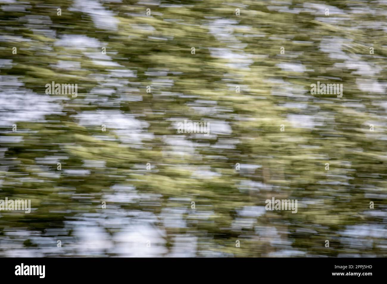 Speed of movement being visible on trees passing by. Motion blurred ...