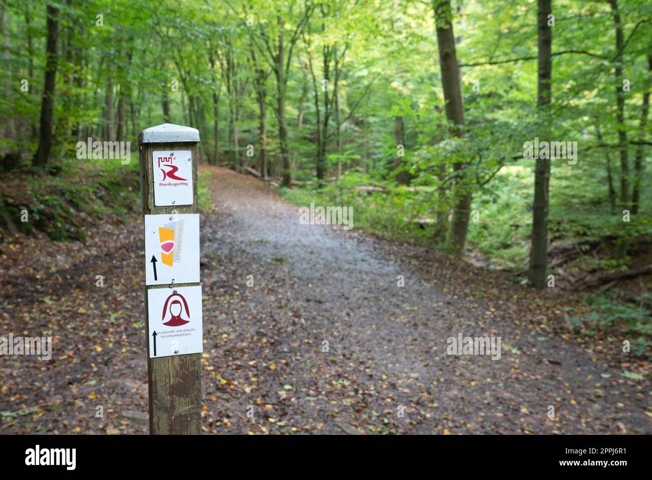 Waymark of Rhine-Castle-Trail, Germany Stock Photo - Alamy